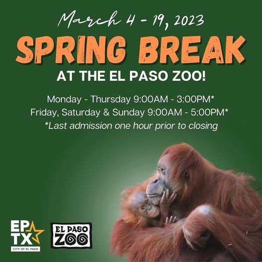 Zoo Spring Break Spirit Week 2023 - ToDoElPaso.com