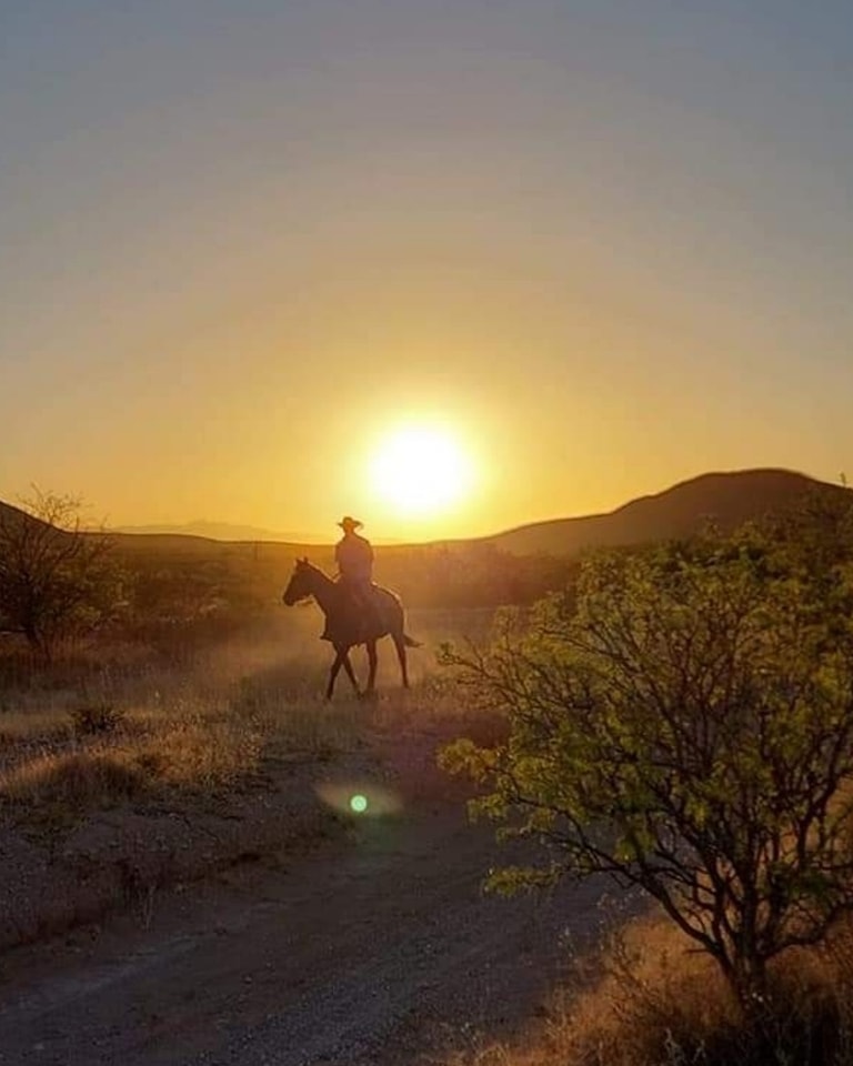 Horseback Riding in El Paso - ToDoElPaso.com