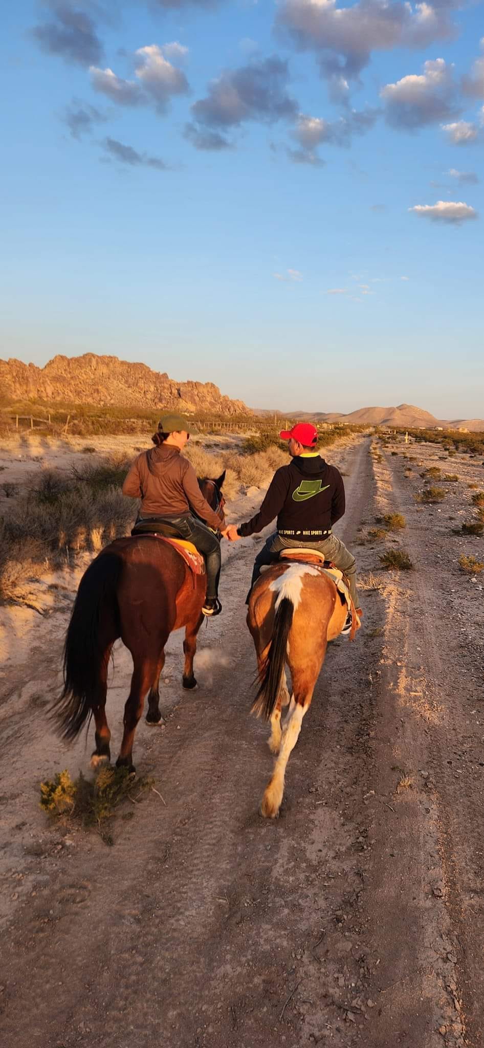 Horseback Riding in El Paso - ToDoElPaso.com