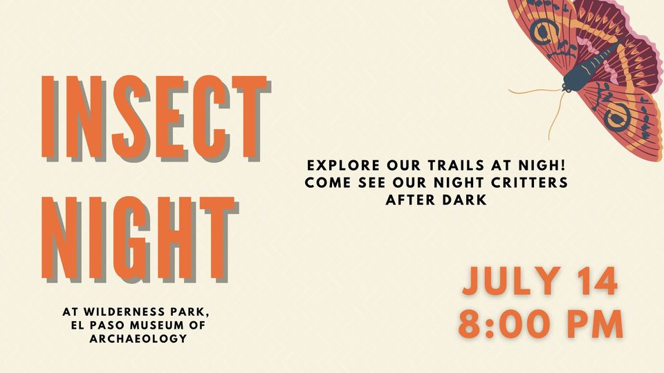 Insect Night - ToDoElPaso.com