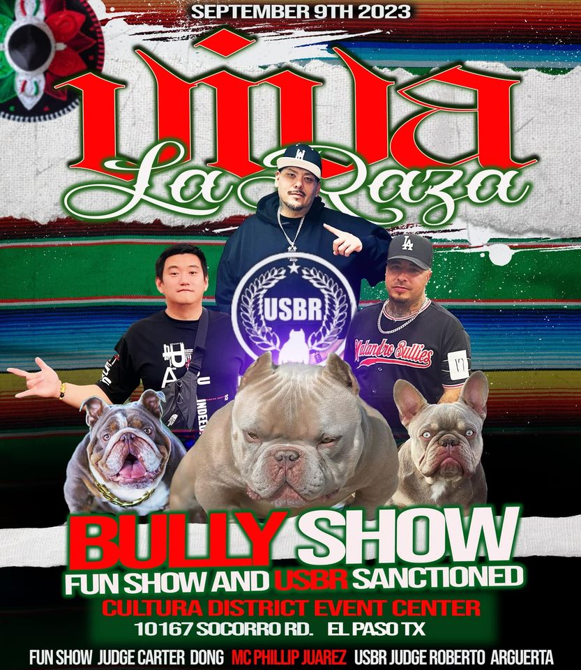 Bully Show - ToDoElPaso.com