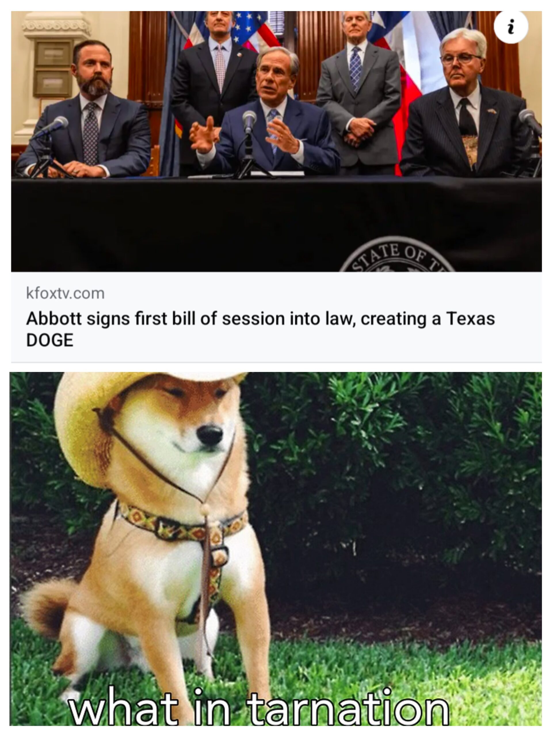 🐶 Texas Unleashes Its Own DOGE! 🐾 - ToDoElPaso.com