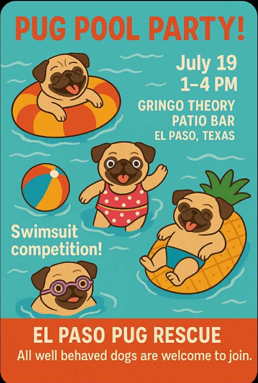 PUG POOL PARTY! - ToDoElPaso.com