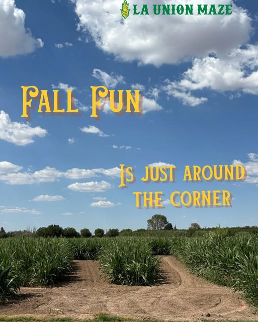 La Union Maze – Opening Day 2025 - ToDoElPaso.com